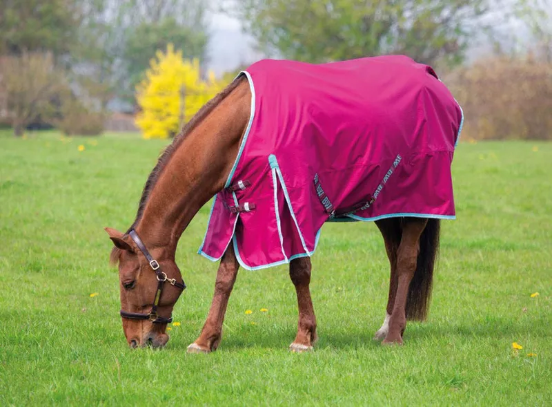 Bridleway Ontario Lightweight Turnout Rug in Raspberry