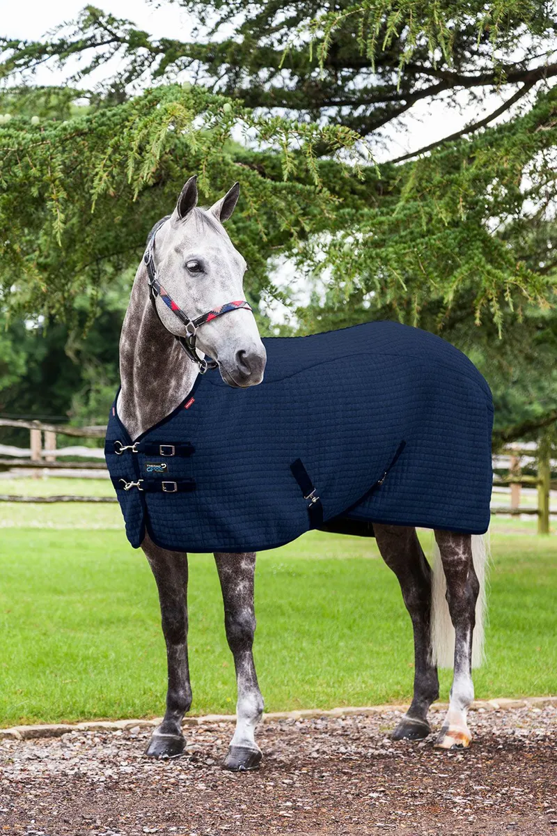 LeMieux Thermo Cool Rug in Navy