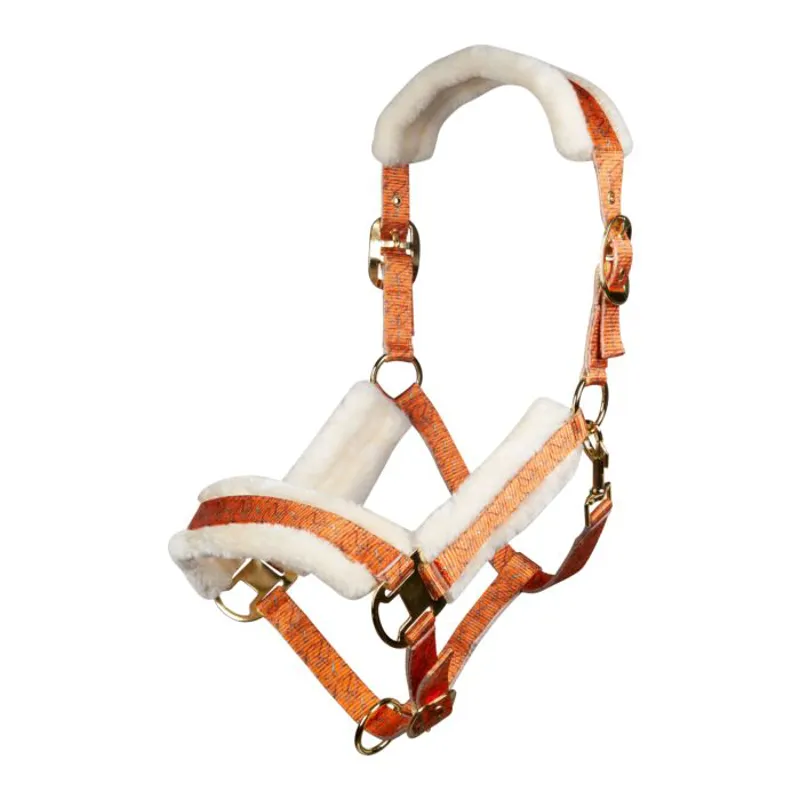 HKM Allure Headcollar in Orange