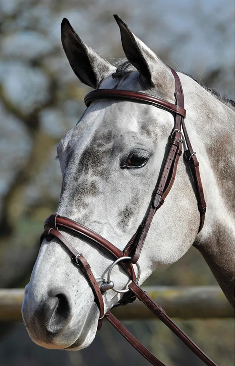 Bridleway | Buckingham | Plain Flash | Bridle