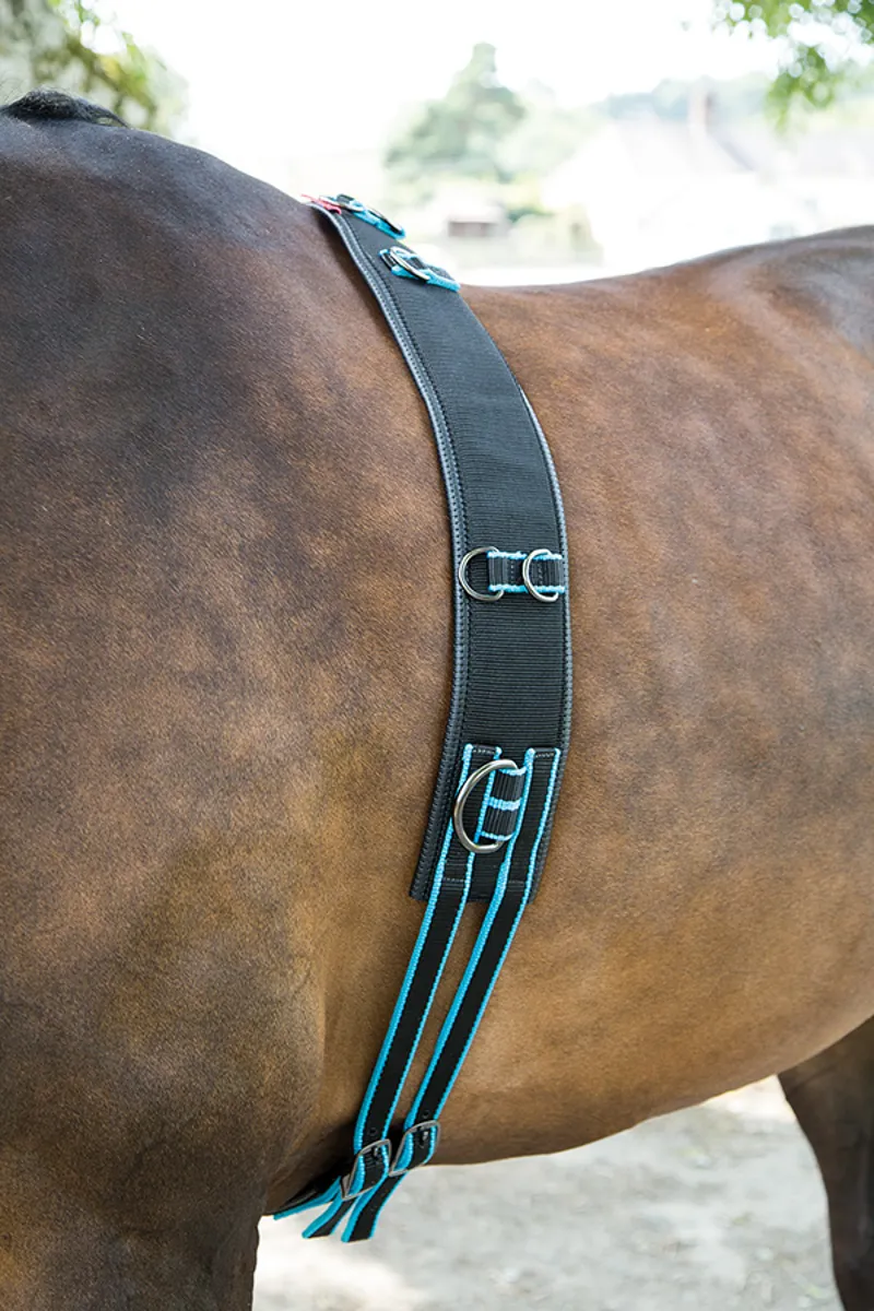 Bridleway | Lunge | Roller | Black | with | Blue