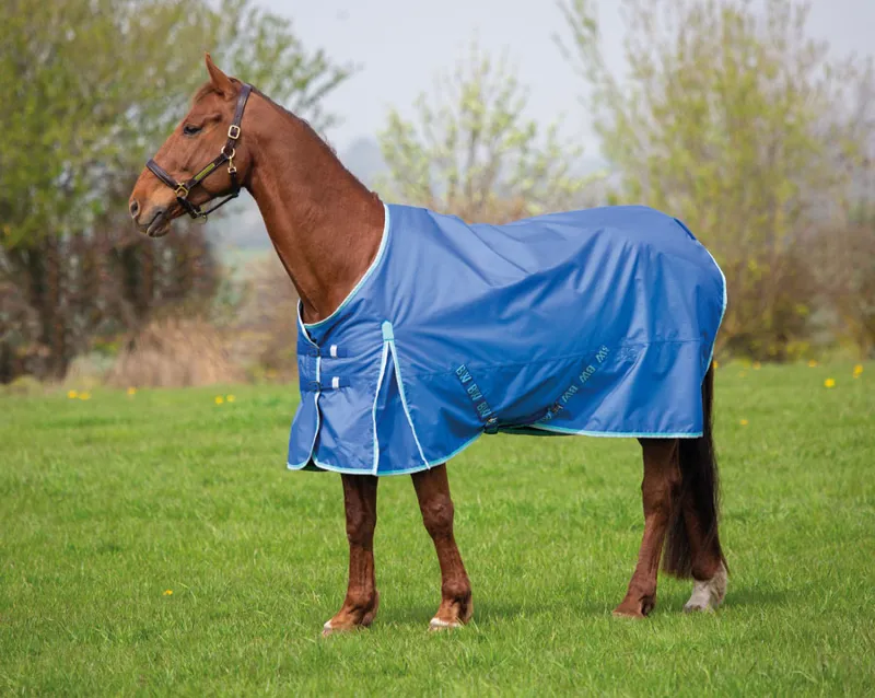 Bridleway Ontario Turnout Rug 100gm in Blue