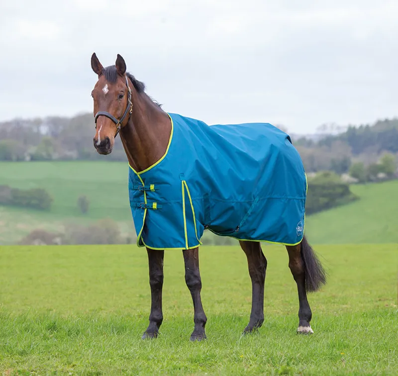 Bridleway Ontario 100g Turnout Rug in Teal