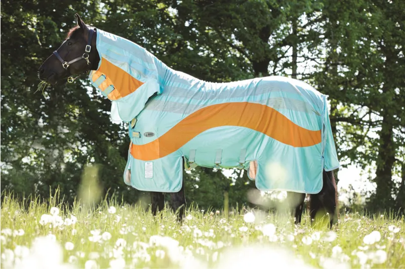 Horseware Amigo Vamoose Evolution Fly Rug in Aqua and Orange
