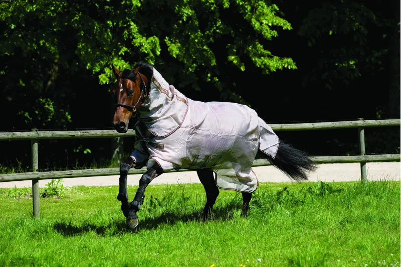 Horseware | Rambo | Protector Fly Rug