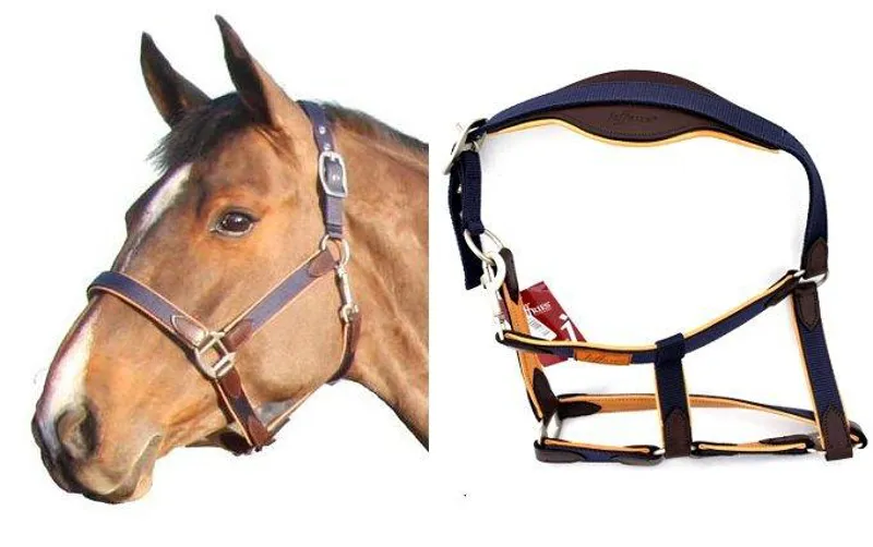 Jeffries Poll Guard Head Collar