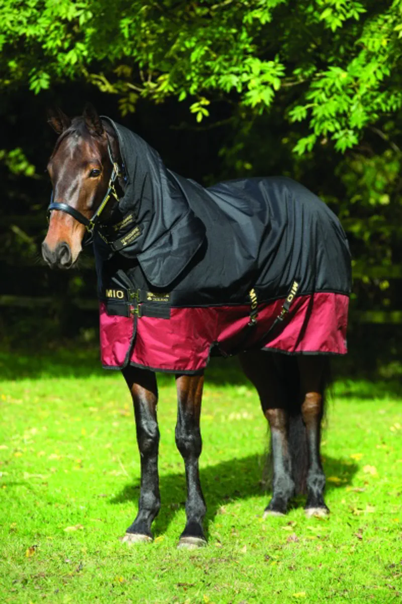 Horseware | Amigo Mio | Heavy Combo Turnout Rug 350gm