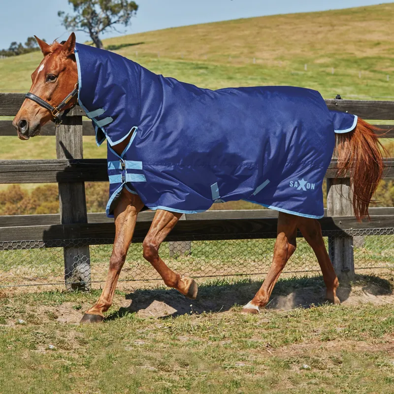 Saxon 600D 200g Combo Neck Turnout Rug in Navy