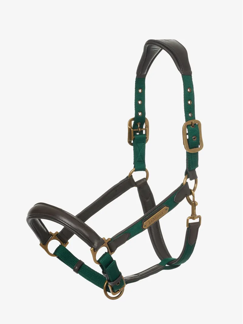 LeMieux Capella Headcollar in Spruce