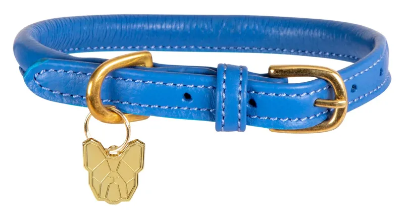Digby and Fox Rolled Leather Dog Collar in Royal Blue