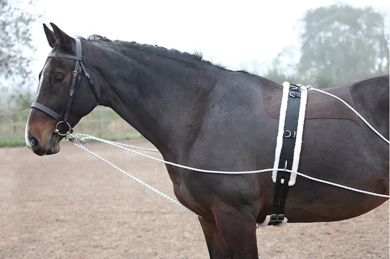 Shires Lunging Aid in Black